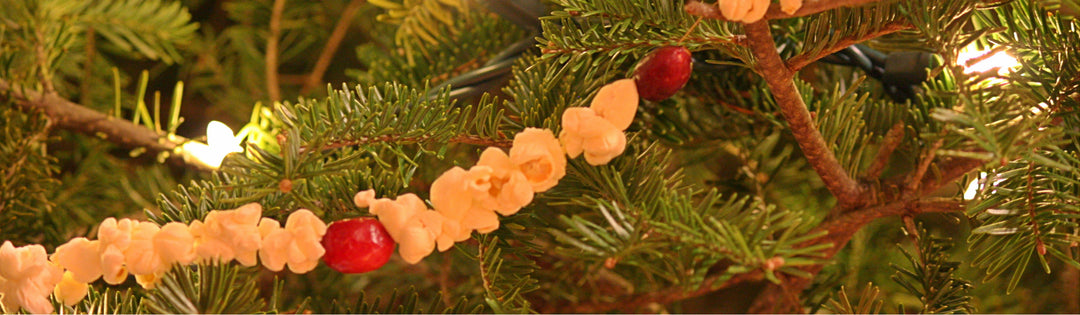 How to Make a Popcorn Garland for Your Christmas Tree – Popped! Republic