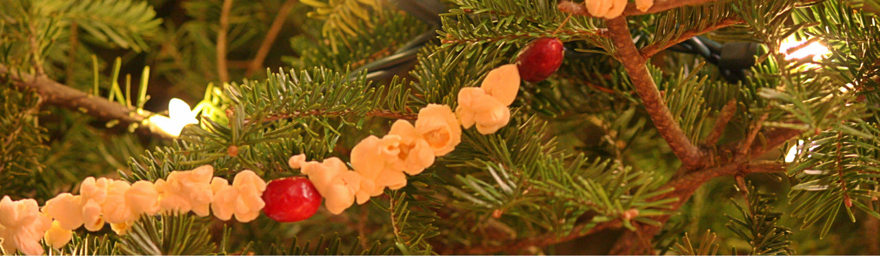 How to Make a Popcorn Garland for Your Christmas Tree – Popped! Republic