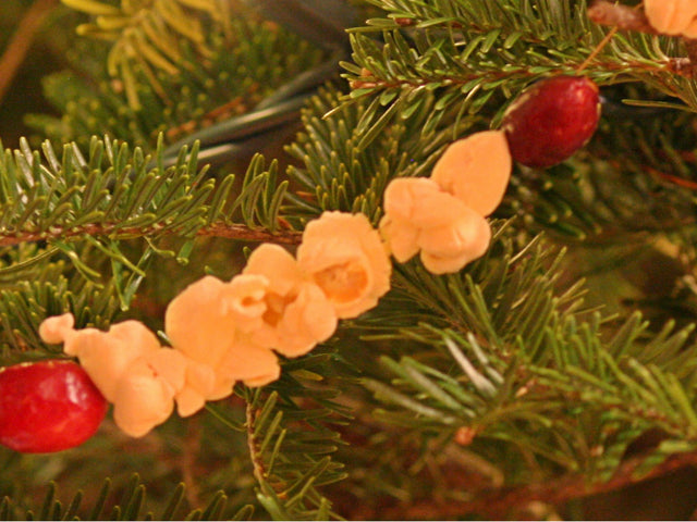 Origins of the Popcorn Christmas Tree Garland Tradition – Popped! Republic