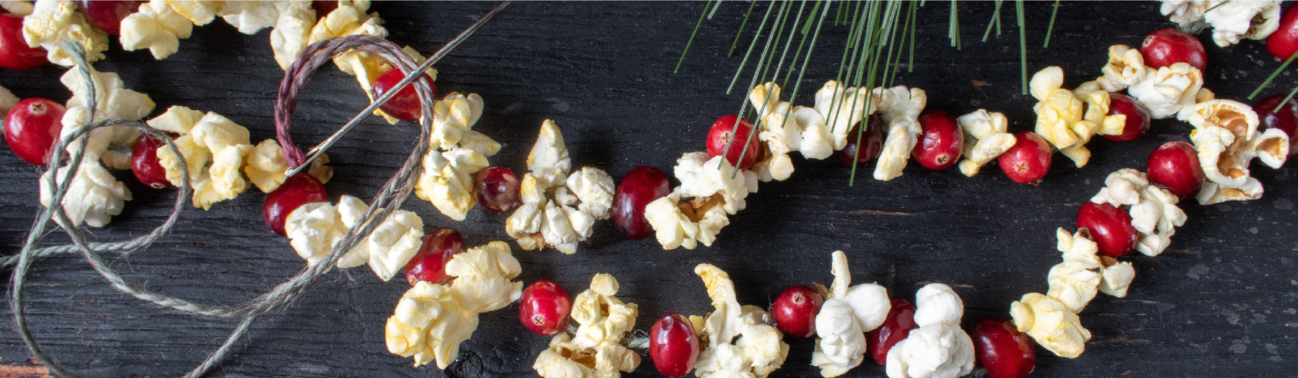 Origins of the Popcorn Christmas Tree Garland Tradition – Popped! Republic